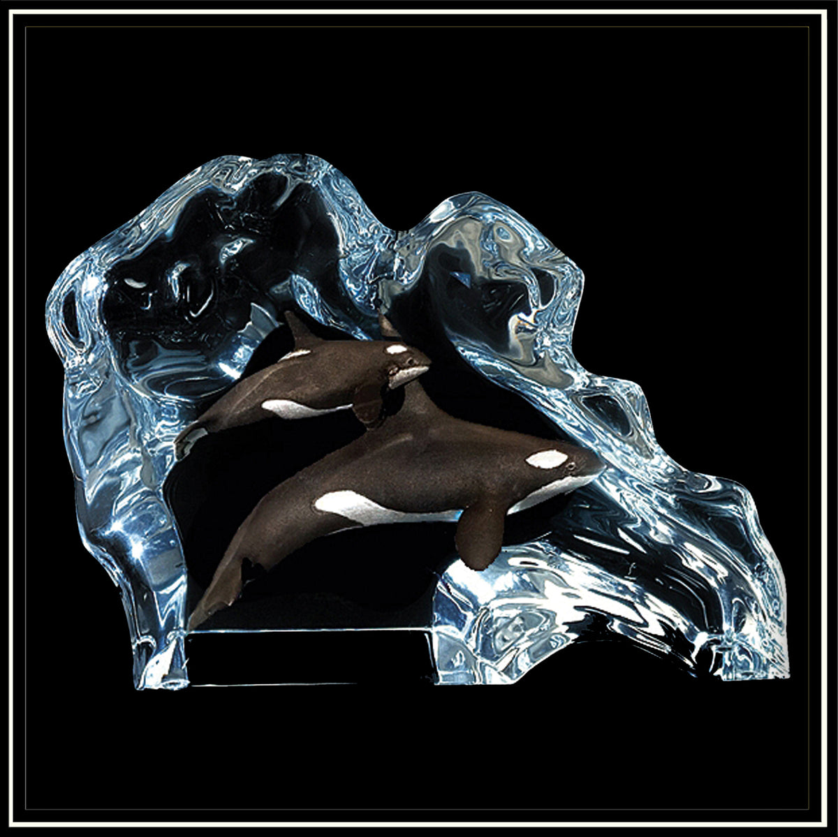 Orca Wave – Alaska Best Shopping